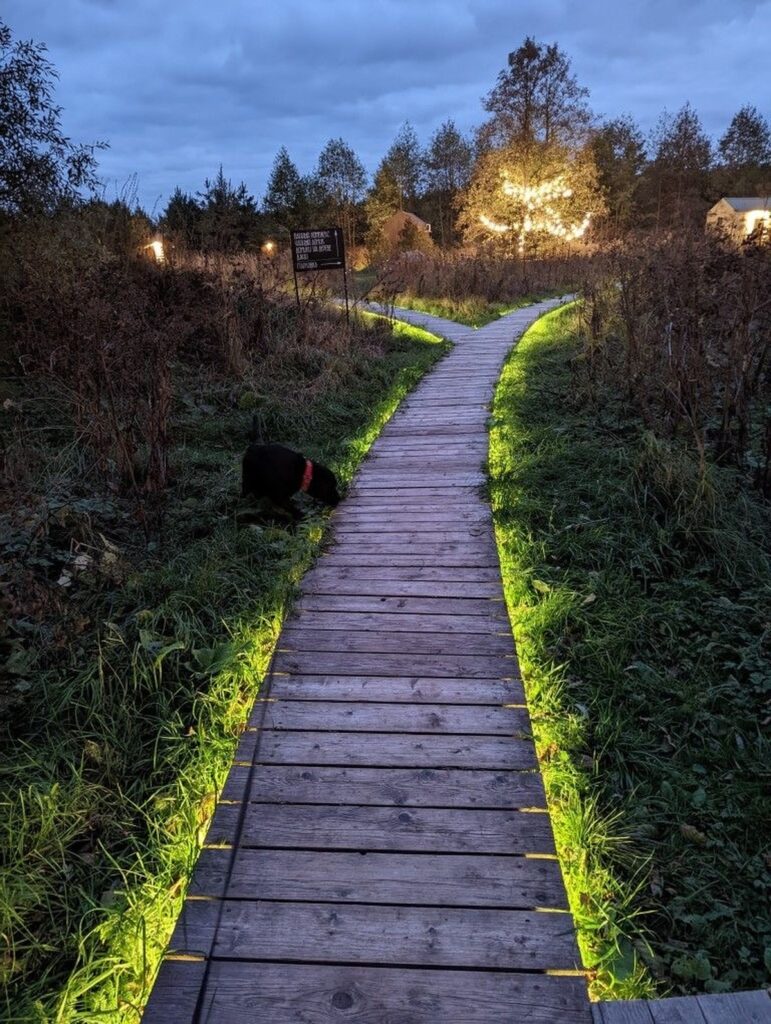 30 Outdoor Landscape Lighting Designs to Add Magic to Your Yard - Archi ...