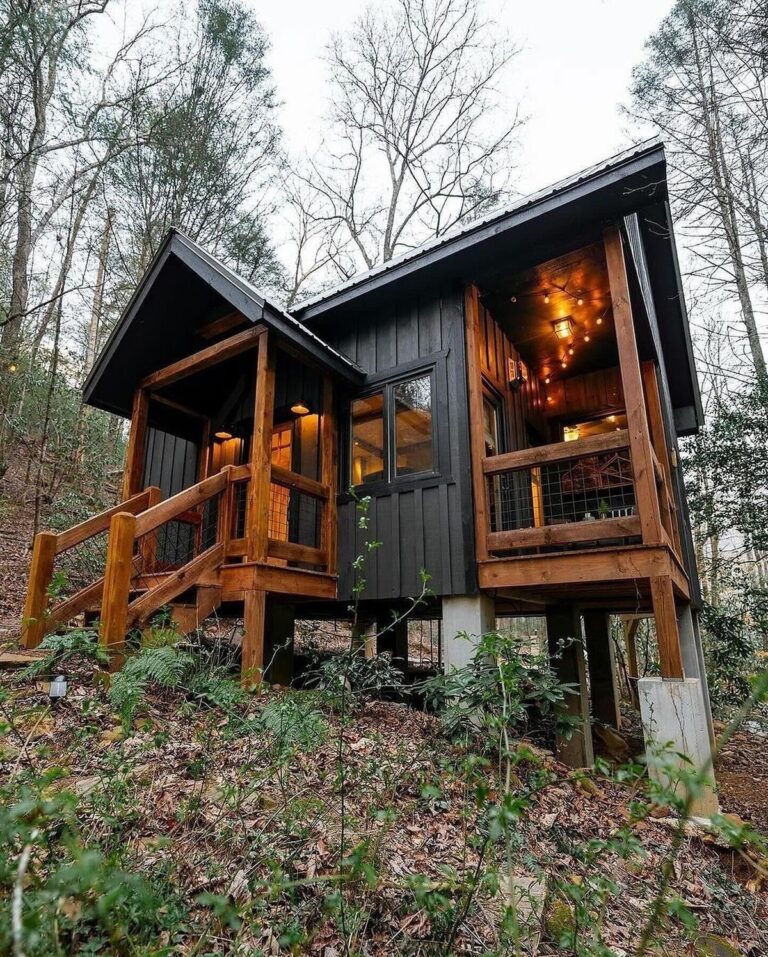 30 Black and Cedar House Exterior Ideas for Farmhouses and Cabins ...