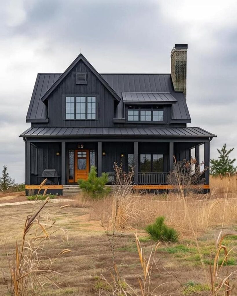 30 Black and Cedar House Exterior Ideas for Farmhouses and Cabins ...