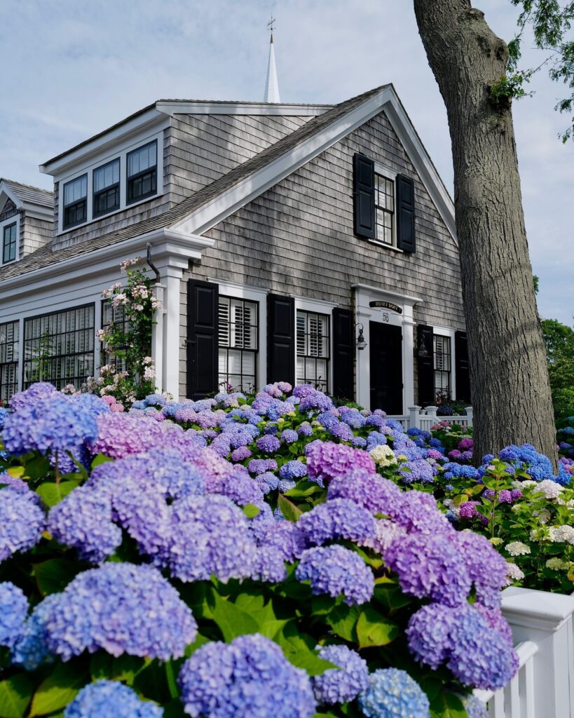 21 Cape Cod House Exterior Ideas for Style and Curb Appeal - Archi Refresh